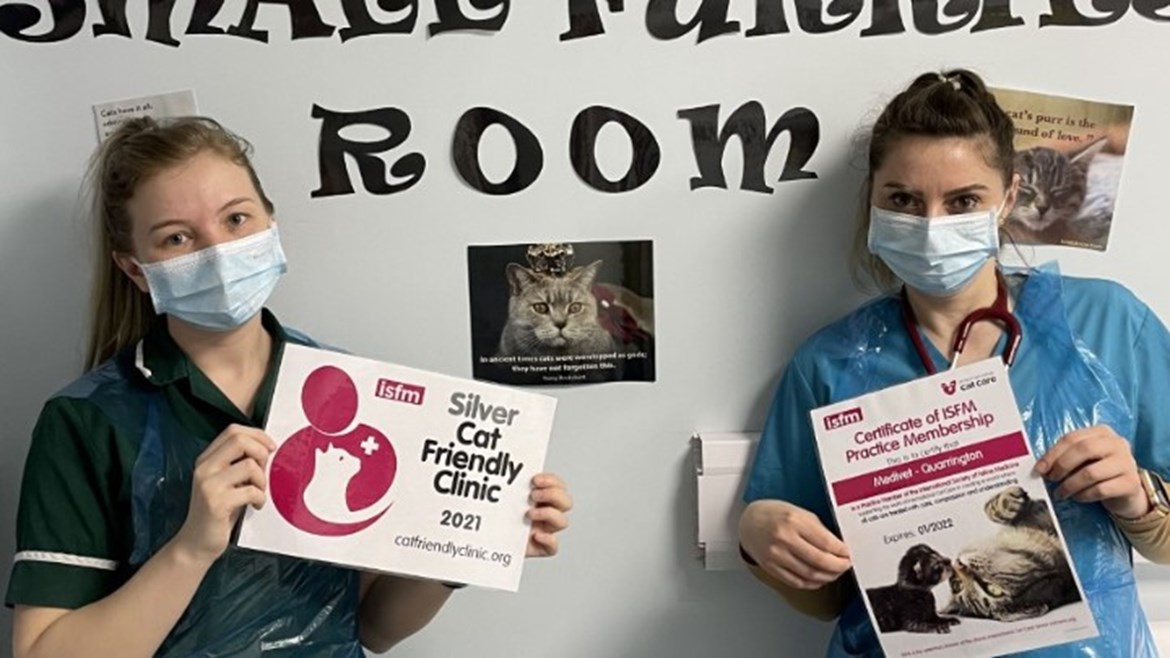Medivet Quarrington Achieves Cat Friendly Clinic Accreditation