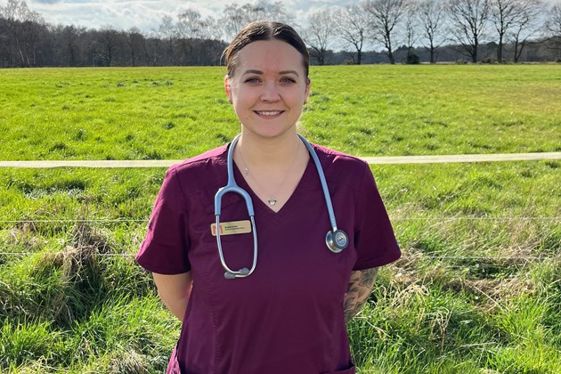 Vet in Horsford | Open Saturdays | Medivet