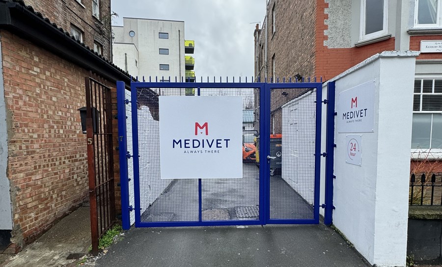 Medivet 24 Hour Camberwell | Emergency Vets Camberwell