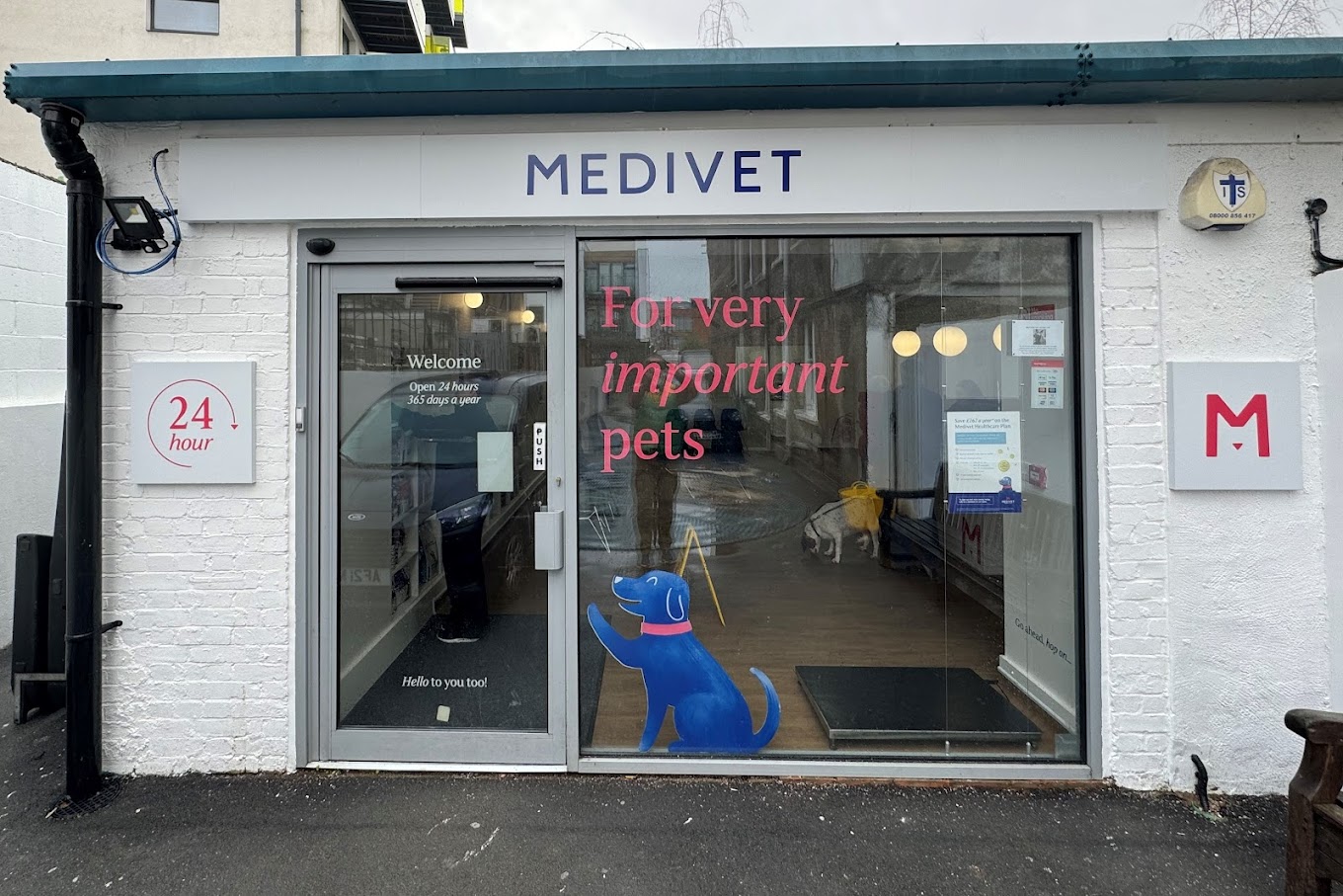 Medivet 24 Hour Camberwell | Emergency Vets Camberwell