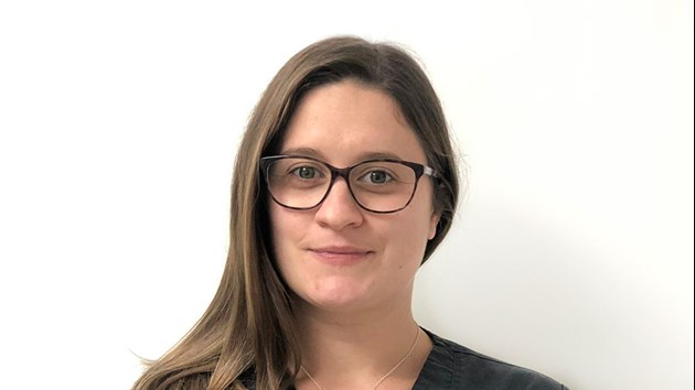 Medivet 24 Hour Camberwell | Emergency Vets Camberwell