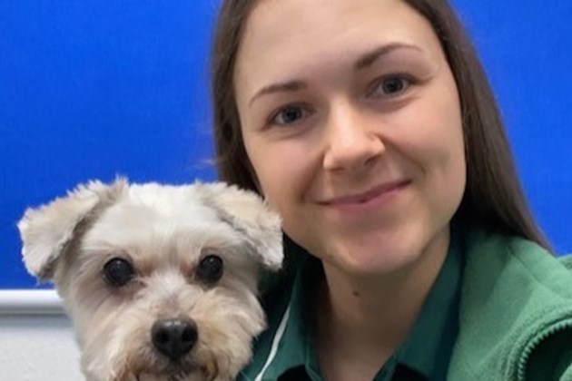 Vet in Brockham | Open Saturdays | Medivet