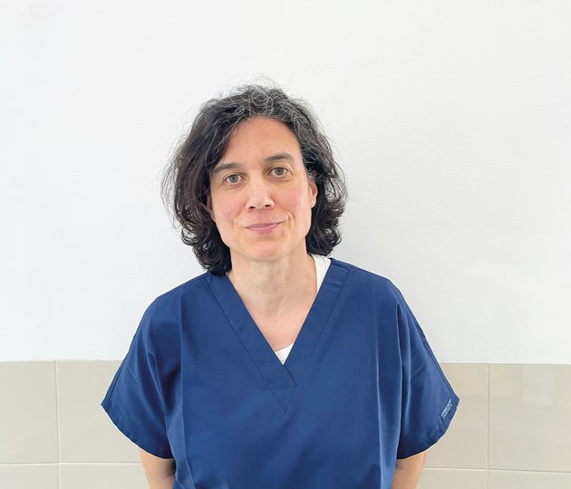 Clínica veterinaria Las Lomas | Medivet España