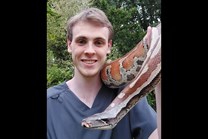 Medivet 24 Hour Enfield | Emergency Vets Enfield