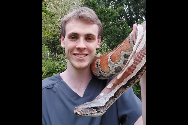 Medivet 24 Hour Enfield | Emergency Vets Enfield