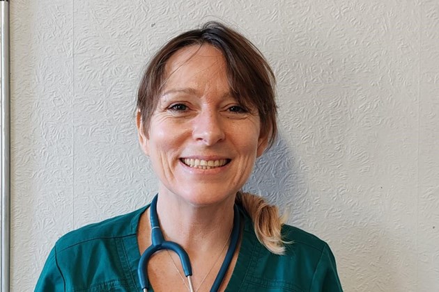 Medivet 24 Hour Enfield | Emergency Vets Enfield