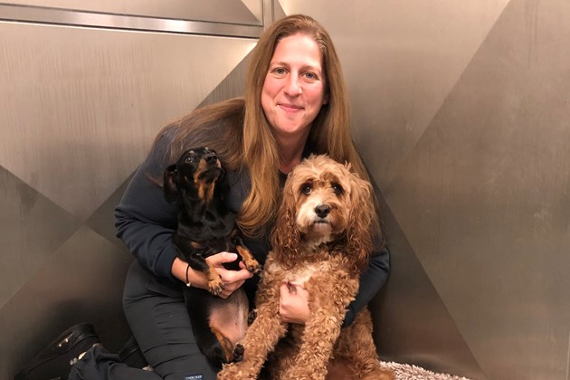 Vet in Cockfosters | London Vets | Medivet