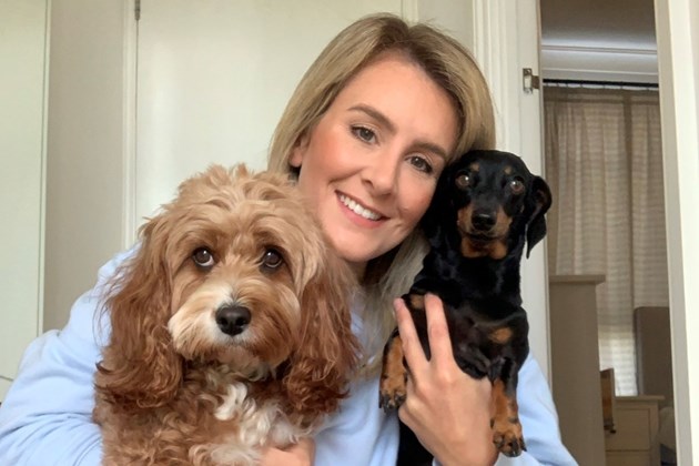 Vet in Cockfosters | London Vets | Medivet