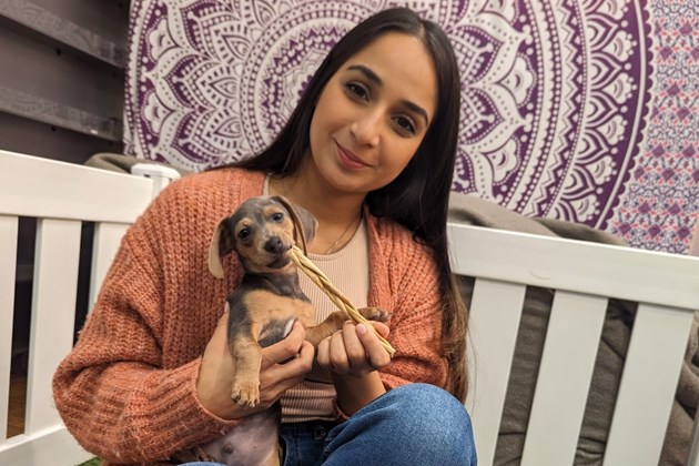 Medivet 24 Hour Hendon | Emergency Vets Hendon