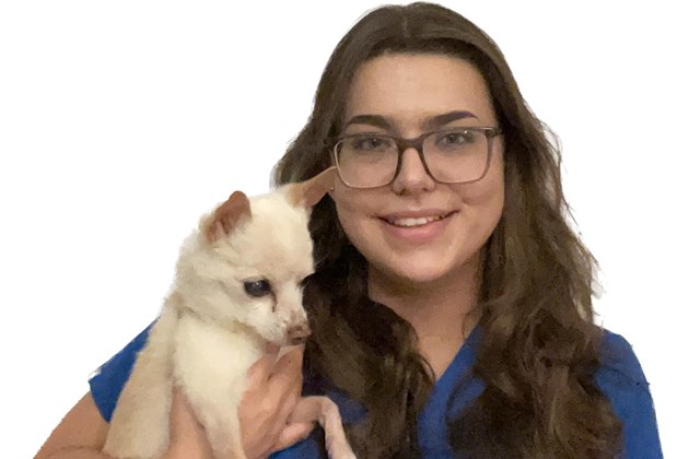 Medivet 24 Hour Hendon | Emergency Vets Hendon