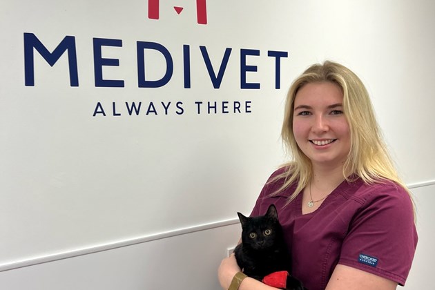 Medivet 24 Hour Hendon | Emergency Vets Hendon