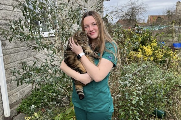 Vet in Somerton | Medivet