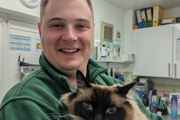 Vet in Twickenham | Open Saturdays | Medivet