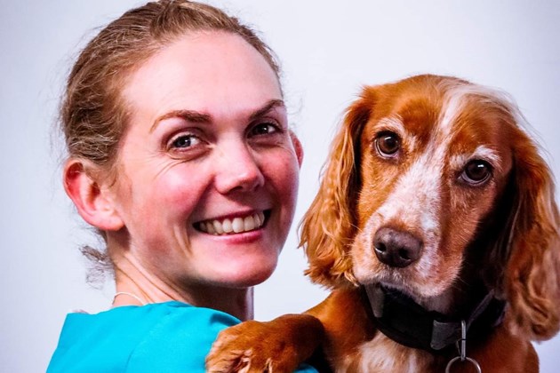 Vet in East the Water | Bideford Vets | Medivet