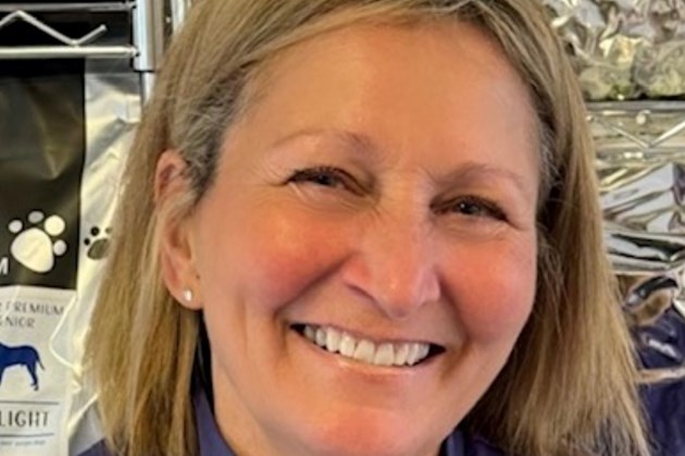 Vet in East the Water | Bideford Vets | Medivet