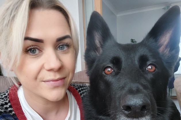 Vet in Northallerton East Rd | Medivet