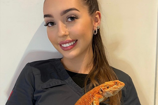 Vet in Welling | London Vets | Medivet