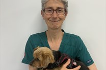 Vet in Welling | London Vets | Medivet