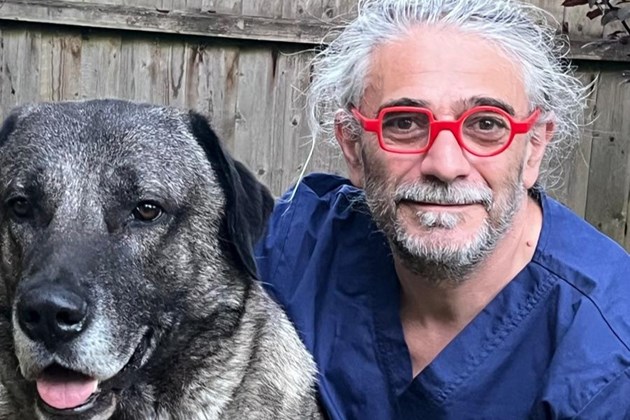 Vet in Welling | London Vets | Medivet