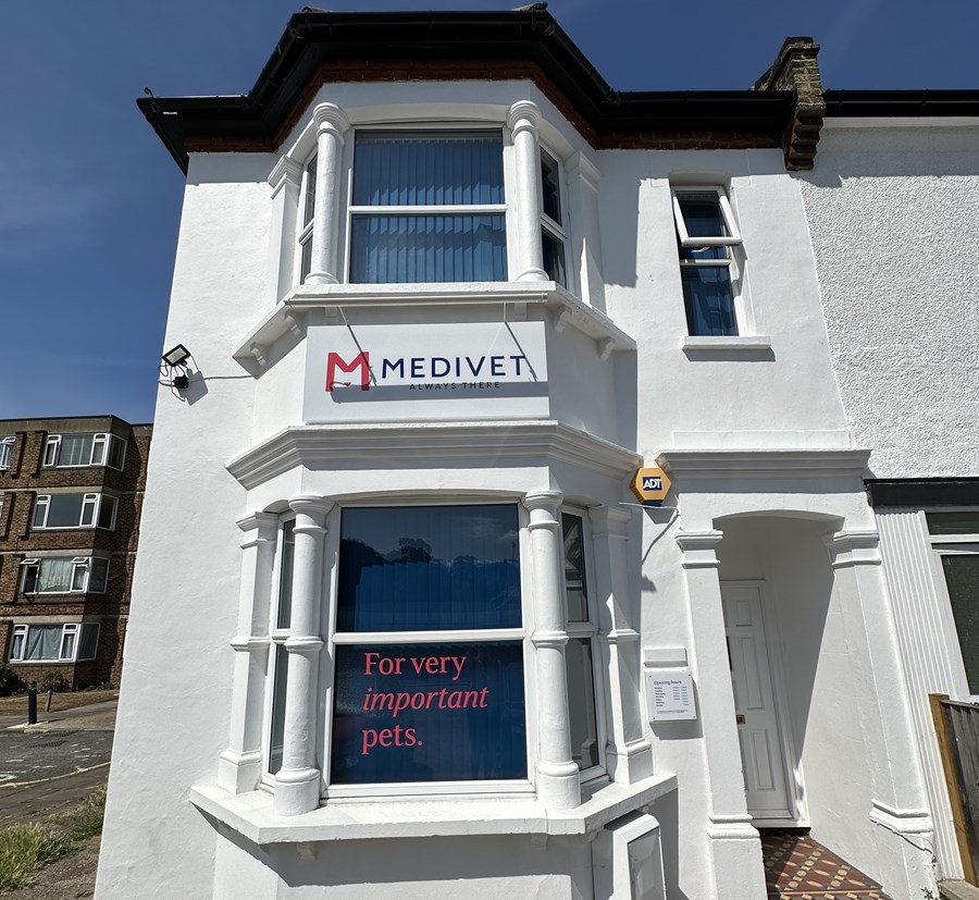 Vet in Welling | London Vets | Medivet