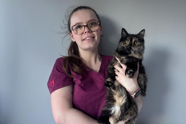 Vet in Faversham | Open Saturdays | Medivet