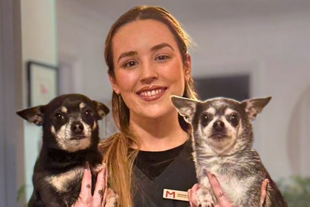 Vet in Biggleswade | Open Saturdays | Medivet