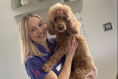 Vet in Biggleswade | Medivet