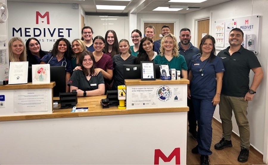 Medivet 24 Hour Woodstock | Emergency Vets Woodstock