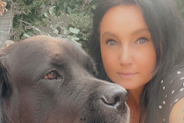 Vet in Sherwood | Open Saturdays | Medivet