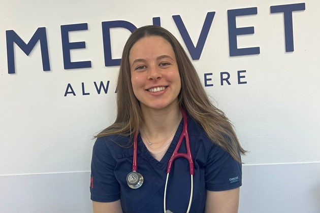 Vet in Islington Cross St | Open Saturdays | Medivet