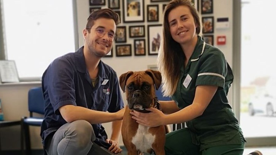 Vet in Great Denham | Open Saturdays | Medivet