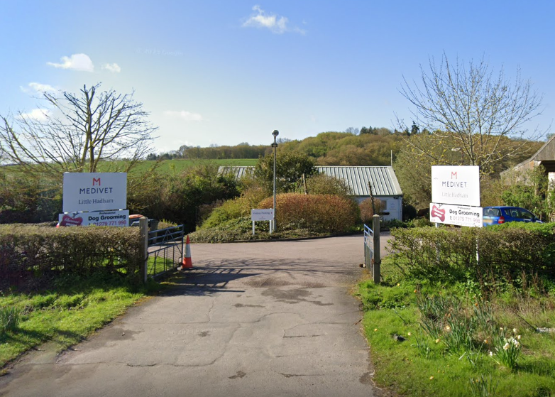 Vet in Little Hadham | Open Saturdays | Medivet