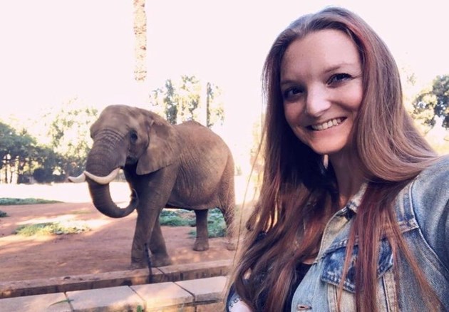 Vet in Little Hadham | Open Saturdays | Medivet