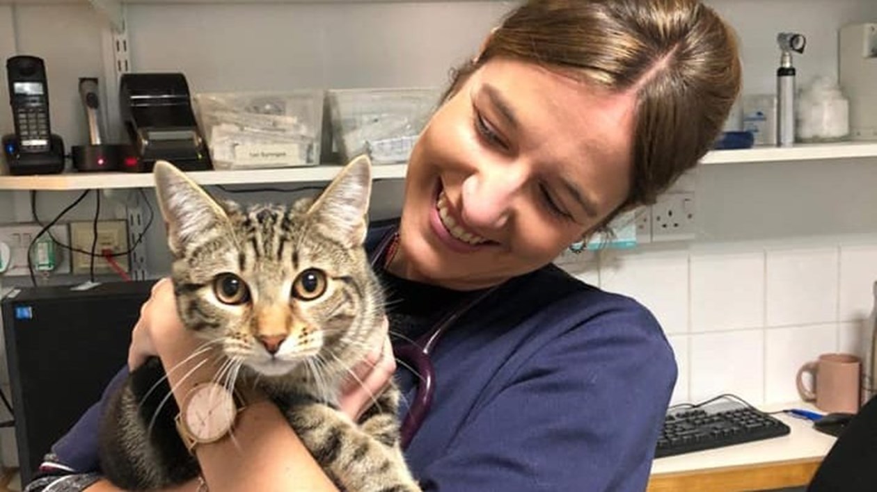 Vet in Southwark | Open Saturdays | Medivet