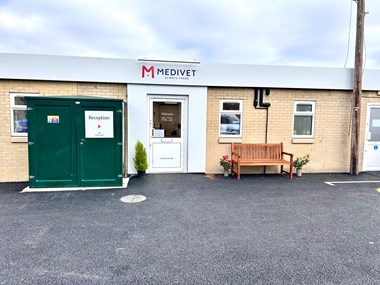 Medivet 24 Hour Woodstock | Emergency Vets Woodstock