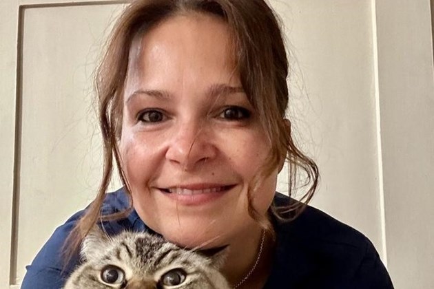 Medivet 24 Hour Woodstock | Emergency Vets Woodstock