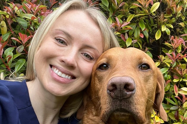 Medivet 24 Hour Richmond | Emergency Vets Richmond