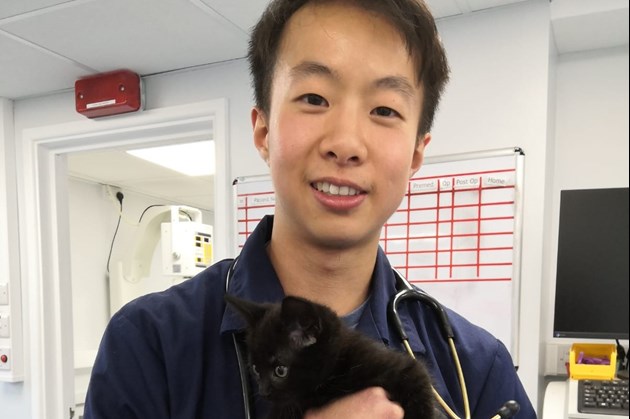 Medivet 24 Hour Dartford | Emergency Vets Dartford