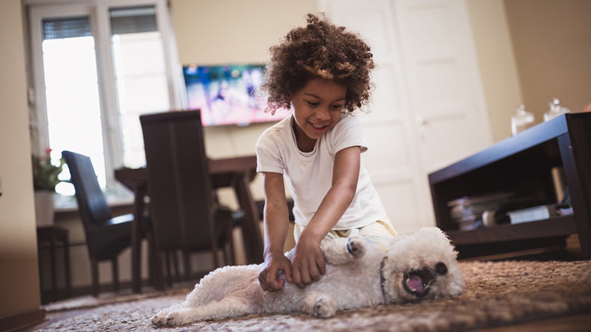 Dogs and Children | Benefits, Socialisation & Safety | Medivet