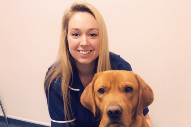 Vet in Peterborough Whittlesey | Medivet