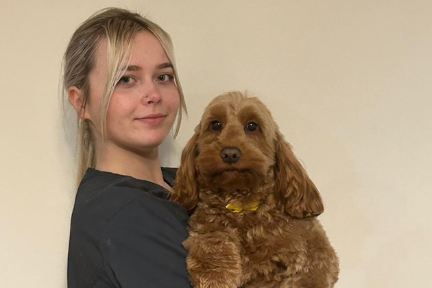 Vet in Croxley Green Vets | Open Saturdays | Medivet