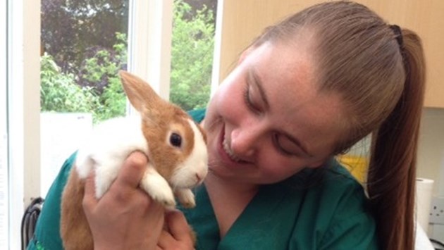 Vet in Walmer | Vets in Deal | Medivet