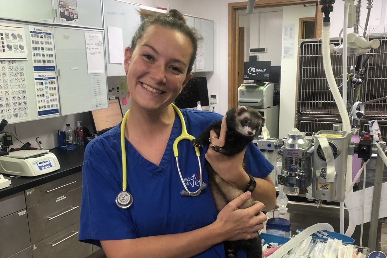 Vet in Clerkenwell | Open Saturdays | Medivet