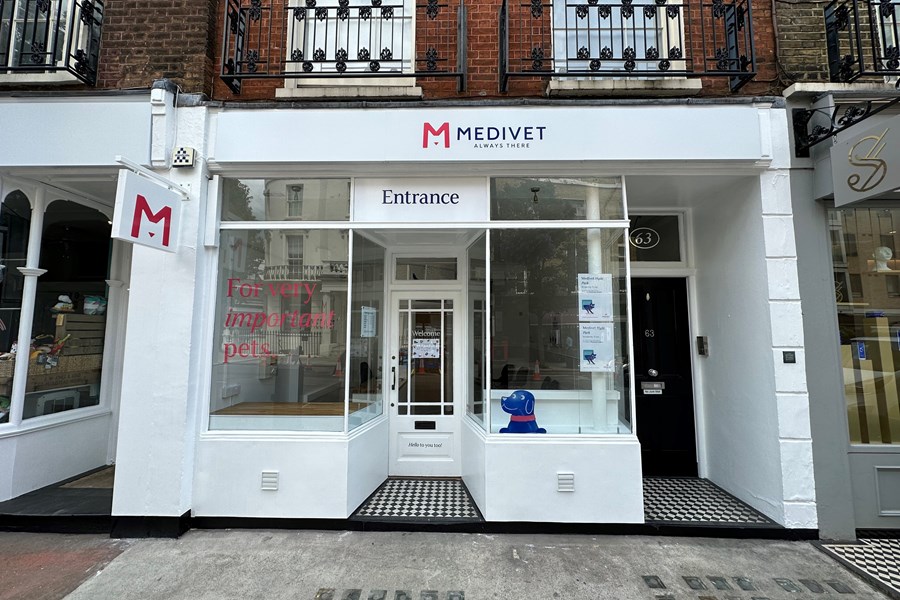 Vet in Hyde Park | London Vets | Medivet