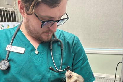 Vet in Chester-le-Street | Open Saturdays | Medivet