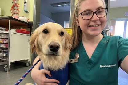 Vet in Chester-le-Street | Open Saturdays | Medivet