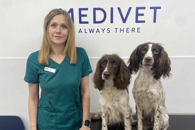 Vet in Wem | Open Saturdays | Medivet
