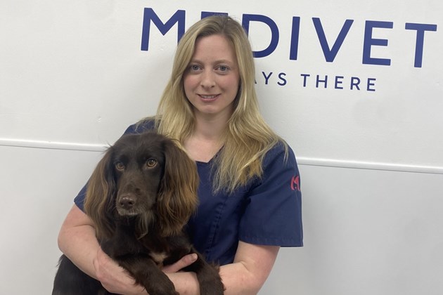 Vet in Wem | Open Saturdays | Medivet