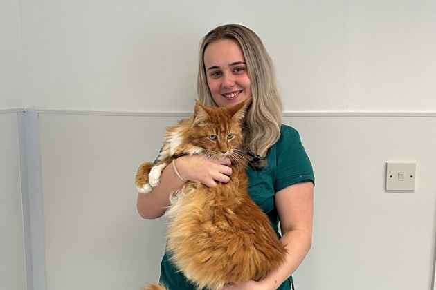 Medivet Hull The Avenues | Vets In Hull | Medivet