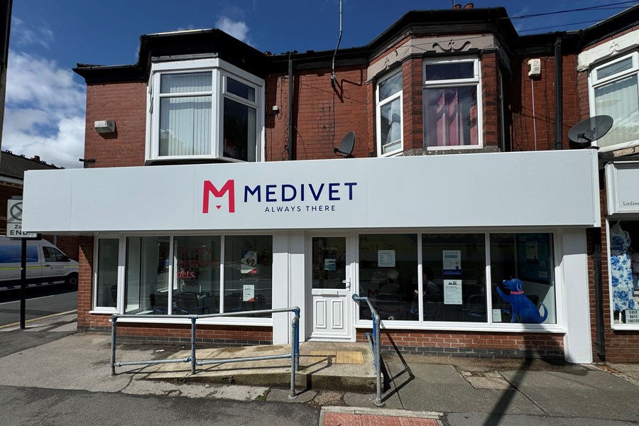 Vet in Hull The Avenues | Hull | Medivet